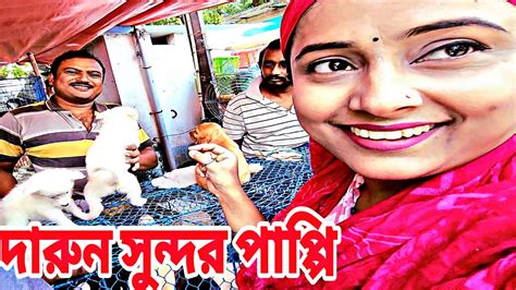 Galiff Street Pet Market Kolkata India🇮🇳 Blogpothik Rz5zj Youtube