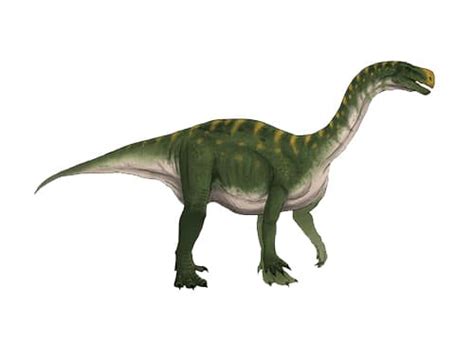 Vulcanodon Learn About This Dinosaur Dinosaur Sounds Dinosaur Sounds