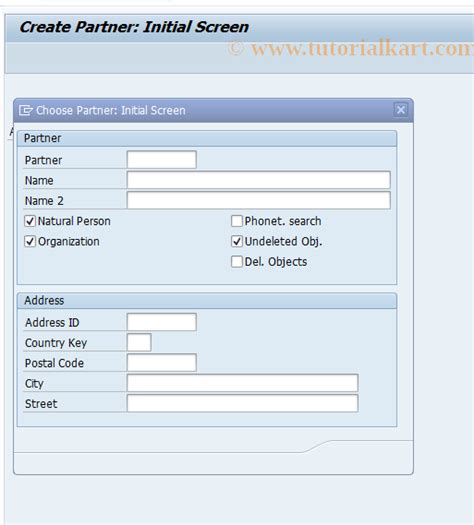 FZP1 SAP Tcode Create Natural Person