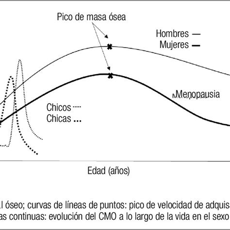 Classification Of Mitchell For Sports Download Table