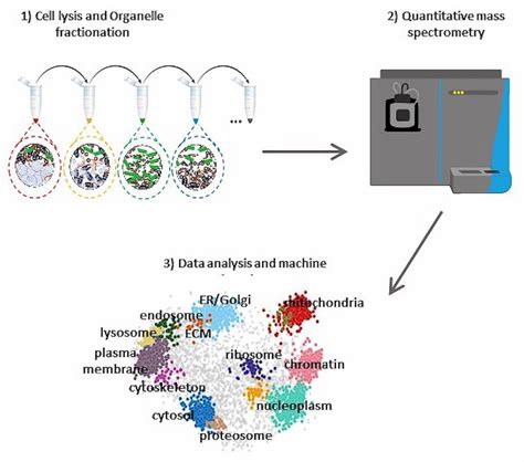Proteome Maps Open An Age Of Biological Discovery