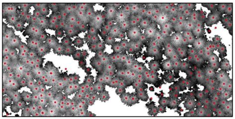 Individual Tree Detection Itd And Its Applications
