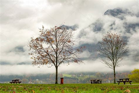 Moody paisaje otoñal con árboles desnudos y bancos en la orilla del lago de montaña