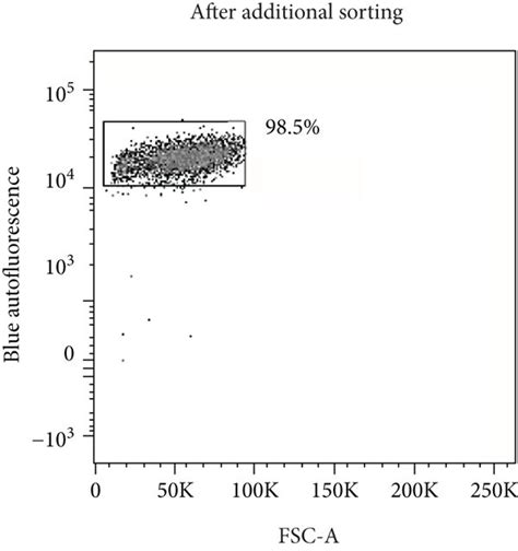 Gating Strategy For Hsc Purification Using Facs And Hsc Download Scientific Diagram