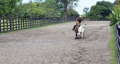 Arauca Qué Conocer En Arauca Turismo En Colombia
