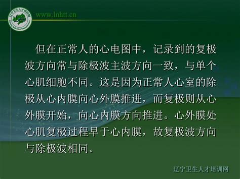 心电图及心律失常 中国医科大学附属一院 霍海洋 Ppt Download