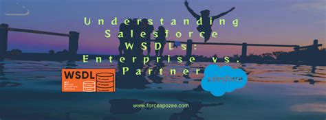 Understanding Salesforce Wsdls Enterprise Vs Partner