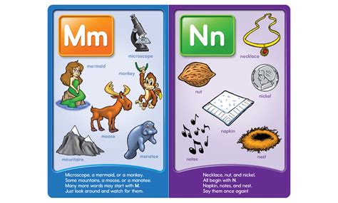 Rock N Learn Book Video Set Groupon Goods