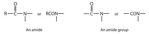 Functional Groups Carboxyl