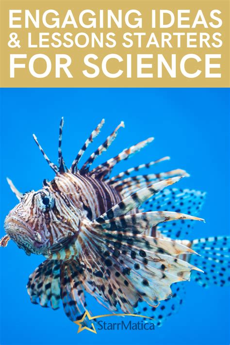 Picture Books For Exploring Scale Proportion And Quantity Starrmatica Com Artofit