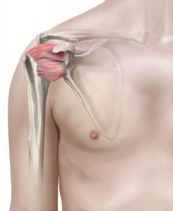 Dr Biplab Dolui Frozen Shoulder Surgery In Kolkata Causes And