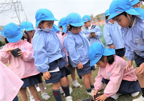 観察園は、春の〝大地の恵み″満載！ 牟礼園ブログ 学校法人幾度学園・社会福祉法人牟礼会