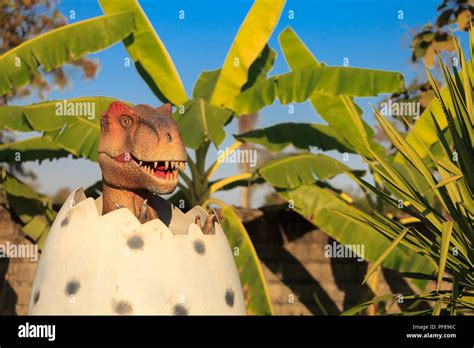 Hidden Village Chiang Mai Scenery Outdoor Jurassic Park With Giant