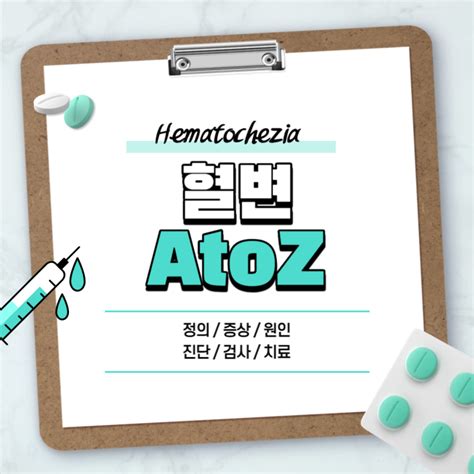 혈변 A To Z 【원인 증상 색 덩어리 선홍색 검붉은 붉은 빨간 갑자기 계속 잦은 술먹고 치질 용종