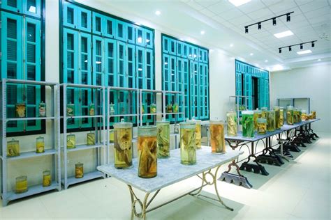 Cận Cảnh Phòng Giải Phẫu Xác Người Của Trường Đại Học Y Hà Nội