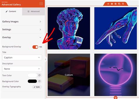 How To Make A WordPress Gallery Responsive 2 Methods