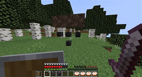 Why Wont The Wither Spawn Rphoenixsc