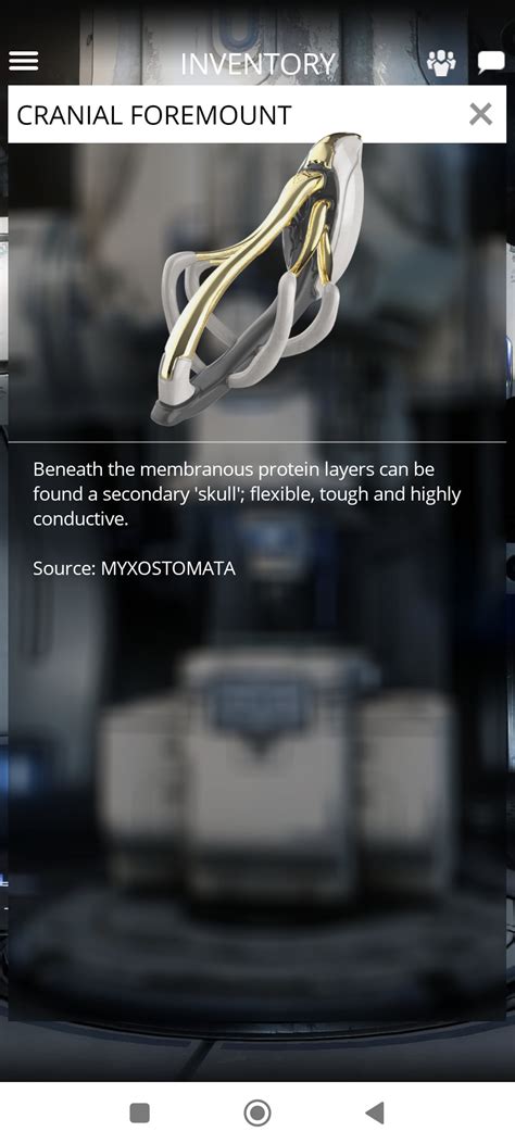 Can Someone Explain To Me What Is This Used For R Warframe