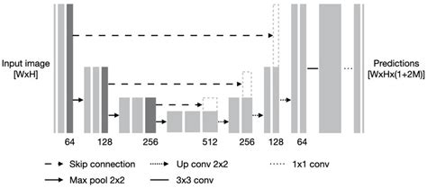 Splinedist Architecture For Each Image Pixel I J Splinedist Download Scientific Diagram