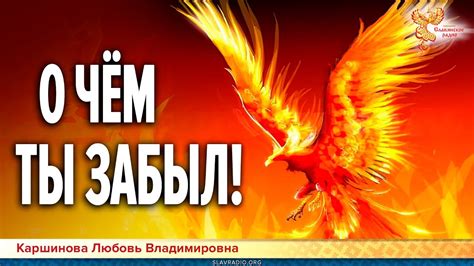 О чём ты не помнишь Закон Творца Обряд Сказка Миф Youtube