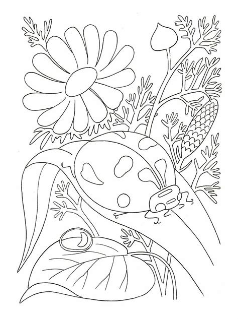Coloriages Insectes Imprimer Gratuitement Pour Enfants