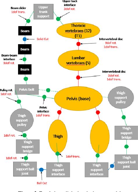 Figure 3 From Design Of An Assistive Trunk Exoskeleton Based On Multibody Dynamic Modelling