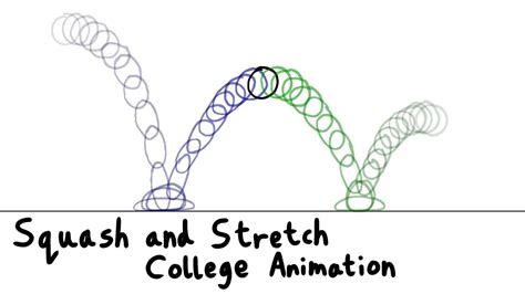 Ball Squash And Stretch College Animation Youtube
