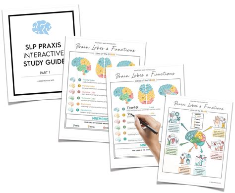 Slp Praxis Interactive Study Guide Part Medical Slps