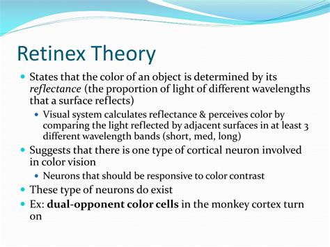 Ppt Ch 6 The Visual System Pt 3 Powerpoint Presentation Free Download Id1936306