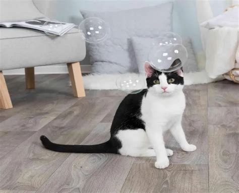 Buy Trixie Catnip Bubbles For Cats