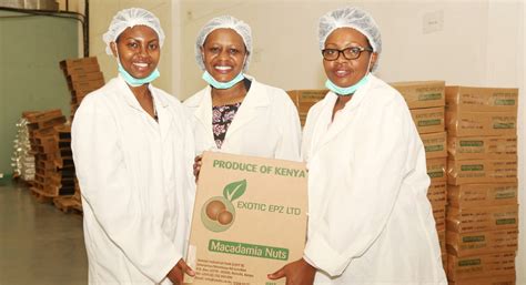 Top 10 Autocad Articles And Tips In 2022 Autocad Blog Autodesk