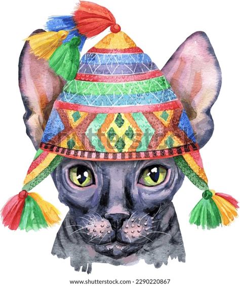 Cute Cat Peruvian National Chulo Hat Stock Illustration 2290220867 Shutterstock