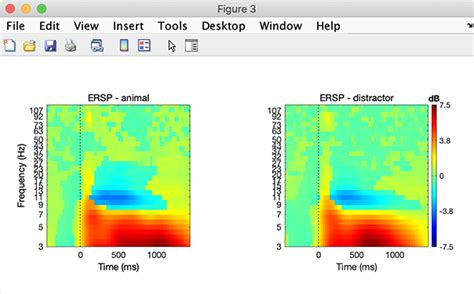 D Study Visualization Eeglab Wiki