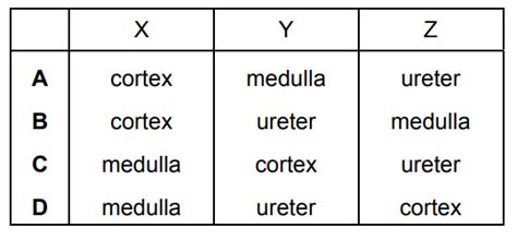 Igcse Biology 0610 13 1 Excretion In Humans Igcse Style Questions Paper 2