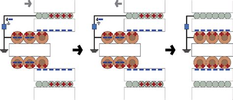 Force Along The Axis E G Stretching Of The Cord Induces A Lateral