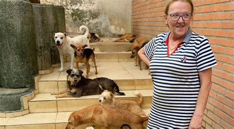 Sítio Dona Lúcia precisa de R 40 mil para compra de rações Mesorregional