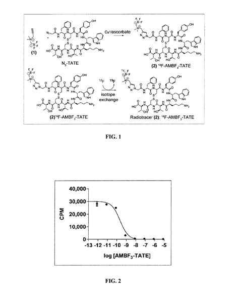 Compositions And Methods For Imaging Cancer Eureka Patsnap