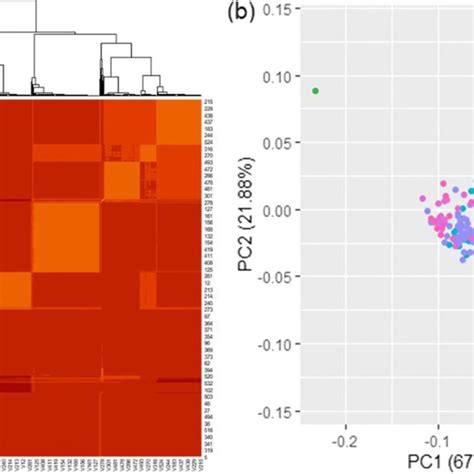 Population Structure Analysis A Heat Map Of Kinship Matrix With The