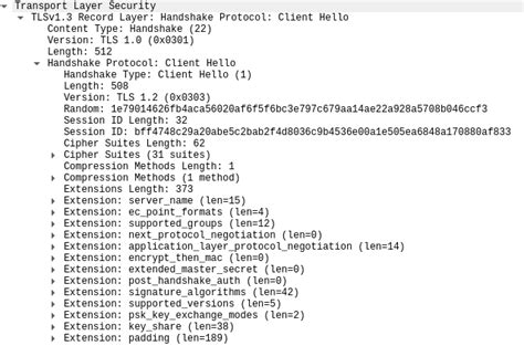 Overview And Dissection Of Tls Handshake Using Wireshark