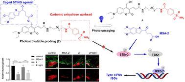 Photochemically Controlled Activation Of STING By CAIX Targeting