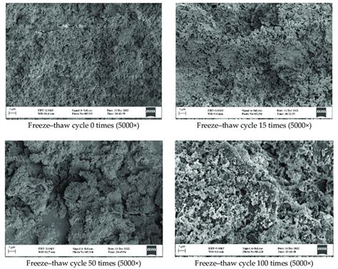 Sem Of Cement Based Early Strength Anchor Material Agent Specimens