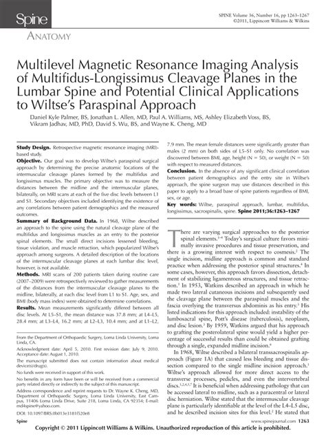 Pdf Multilevel Magnetic Resonance Imaging Analysis Of Multifidus