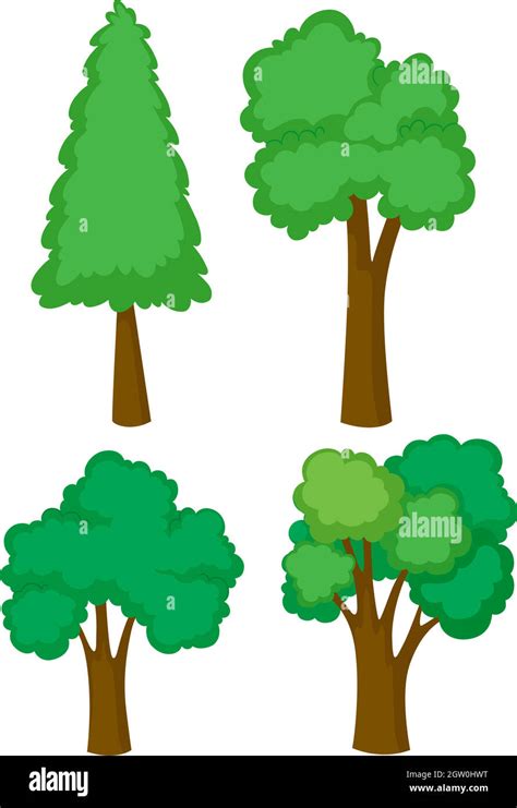 Types Of Trees Hi Res Stock Photography And Images Alamy