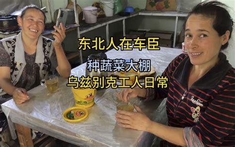 东北人在车臣，兄弟们今天四十度下火了 东北小雨在车臣种大棚 东北小雨在车臣种大棚 哔哩哔哩视频