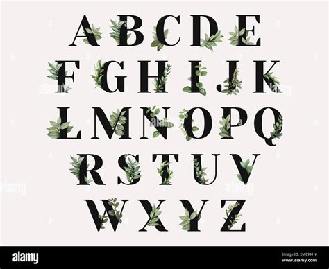 Botanical Capital Alphabet Collection Vector Stock Vector Image And Art