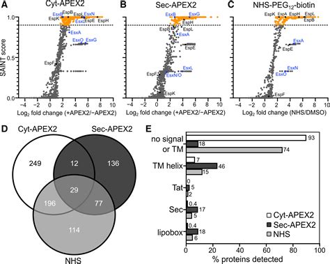 Proteomics From Compartment Specific Apex2 Labeling In Mycobacterium