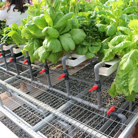 Movable Wire Mesh Flower Plants Nursery Bed Bench Seeding Seedbed In