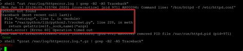 Citrix Adc Cve 2019 19781 Exploited What Now Nerdscaler