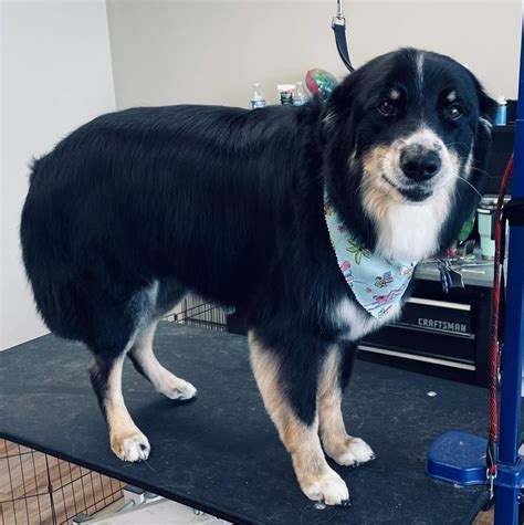 Kathryn The Groomer
