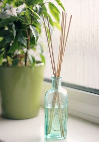 Homemade Reed Diffuser DIY How To Make Your Own Moral Fibres